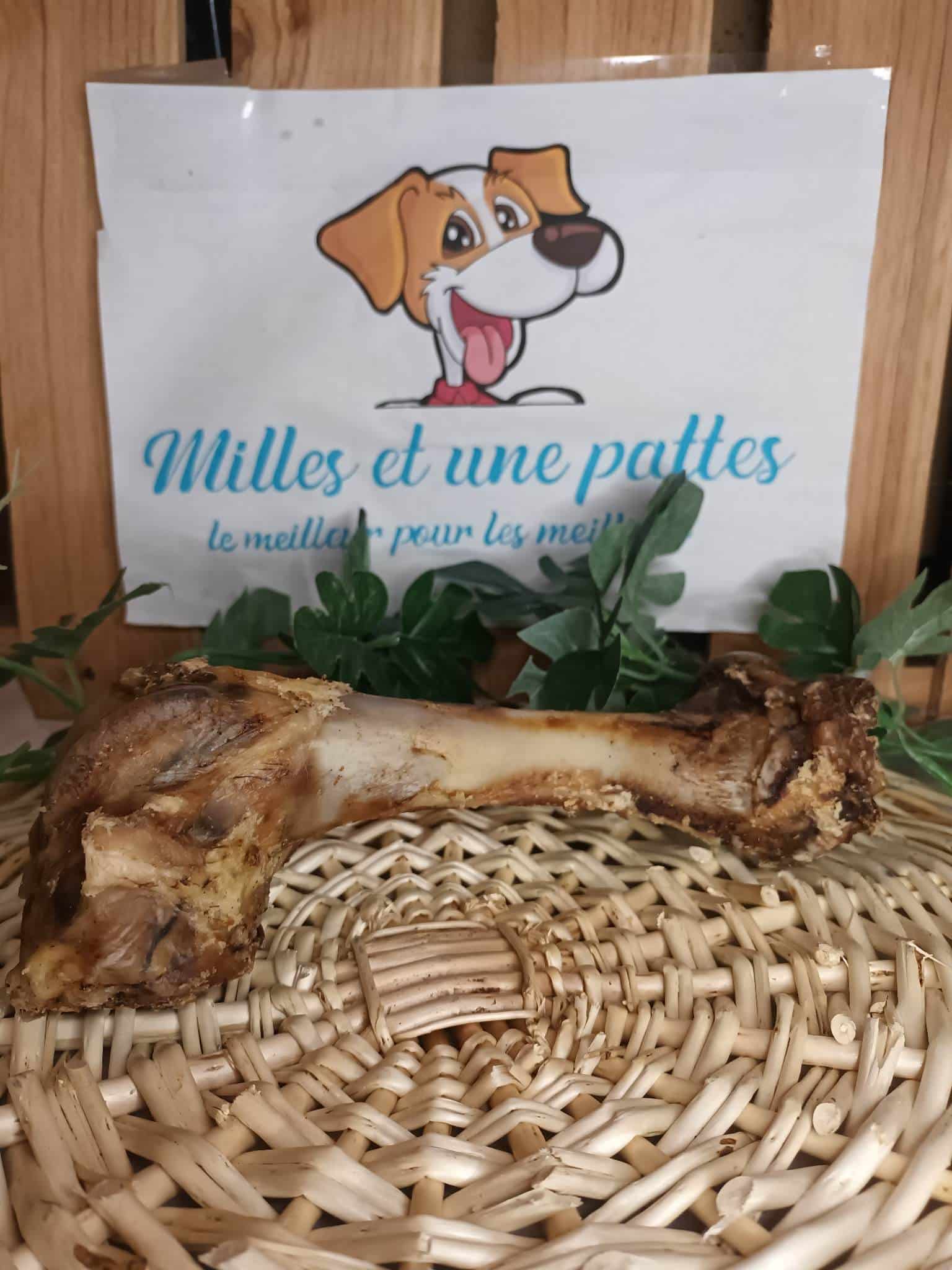 os de porc | milles et une pattes