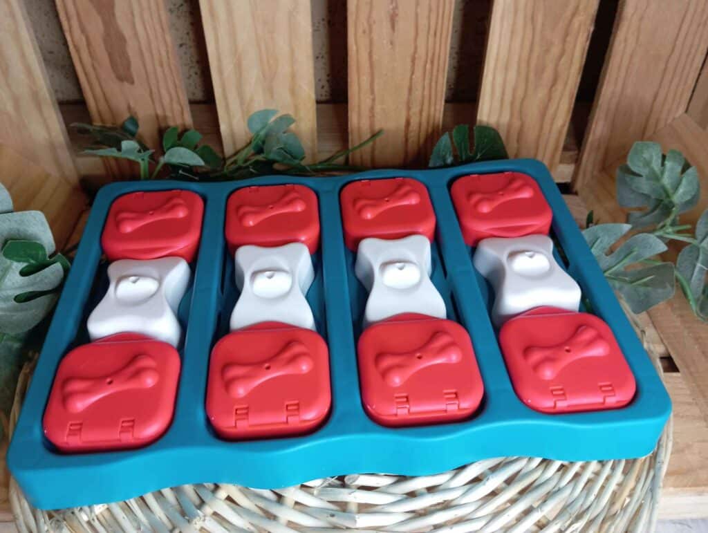 Dog Brick - Milles Et Une Pattes